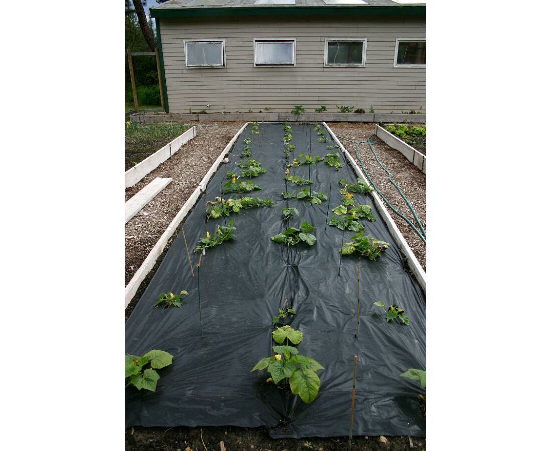 Agrofólia - Fekete fólia TVK Heliofol általános takaró fekete