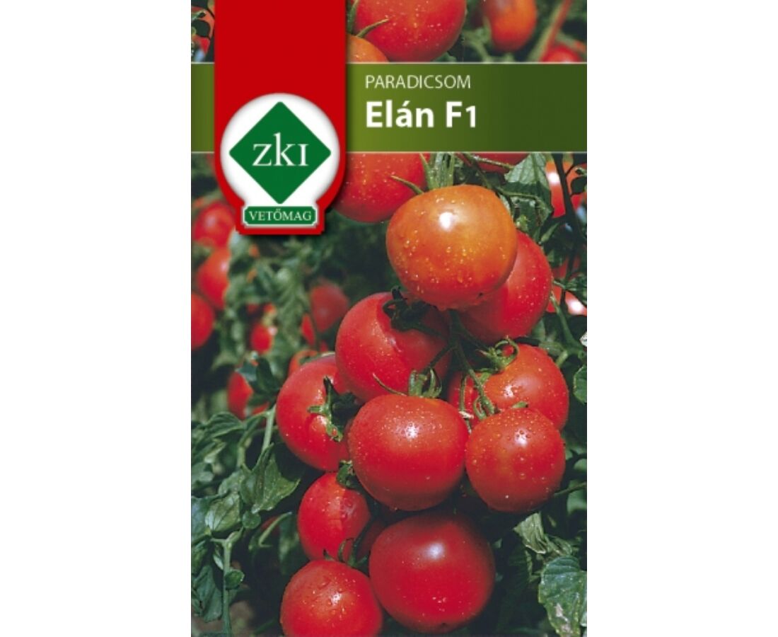 ZKI Paradicsom Elán F1 Vetőmag