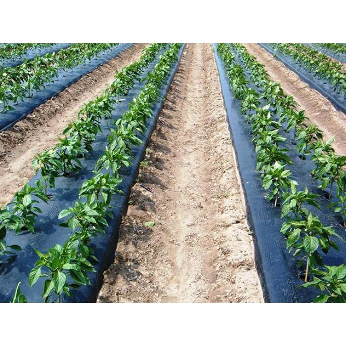 Agrofólia - Fekete fólia TVK Heliofol általános takaró fekete